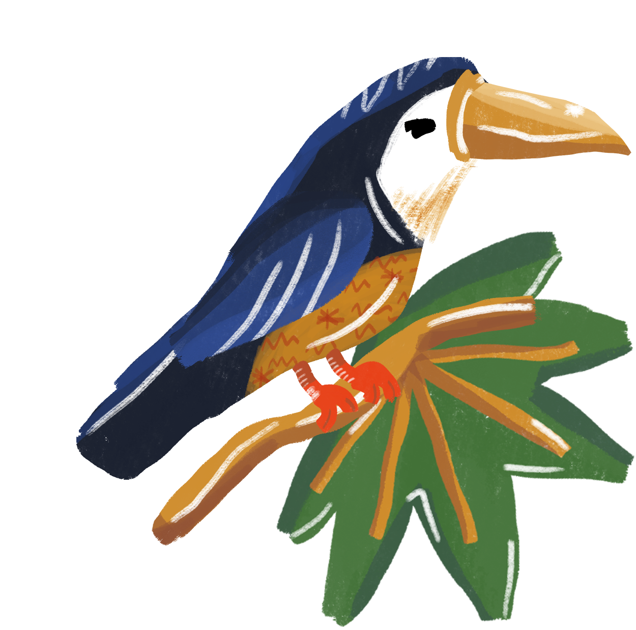 carnaval farm: fantasia de carnaval | FARM